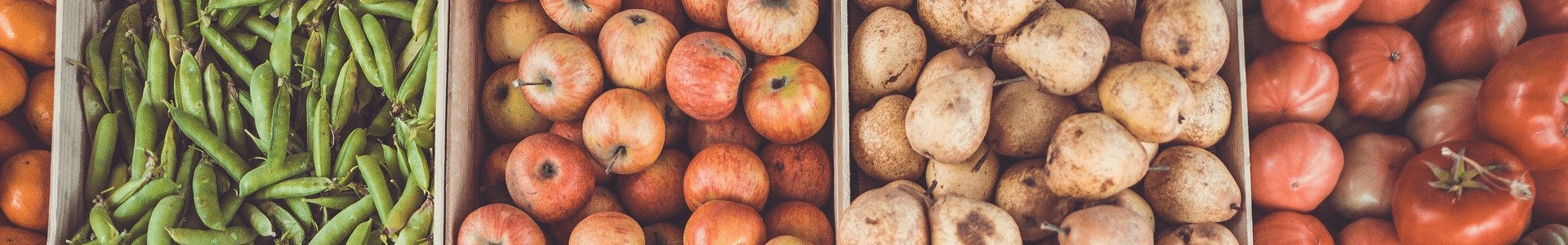 Building food equality means investing in communities • Open Food ...